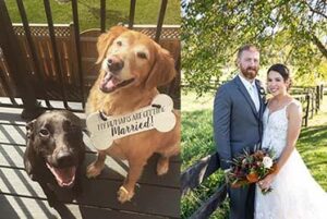 Zoe Maiden of Honor! | A Forever Home Rescue Foundation